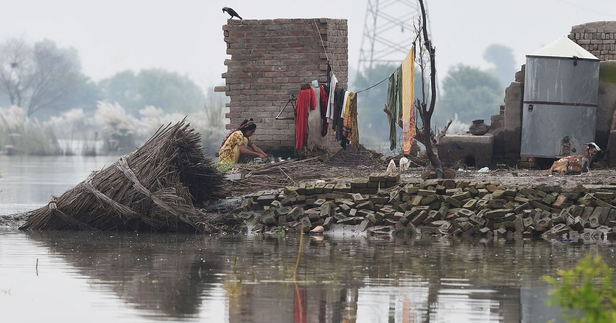 ‘We’ve gone back 50 years’: Pakistan farmers count flood damage ...